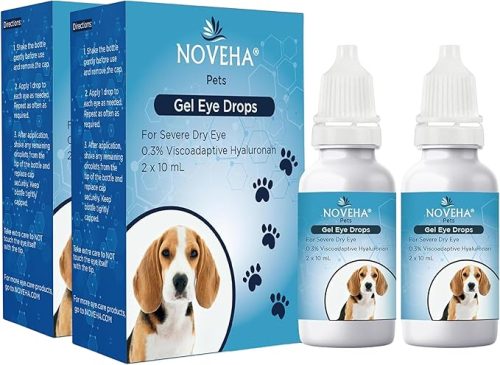 3 Best Dog Cataract Drops & Treatments - iHeartDogs.com