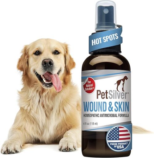 7 Best Colloidal Silver for Dogs - iHeartDogs.com