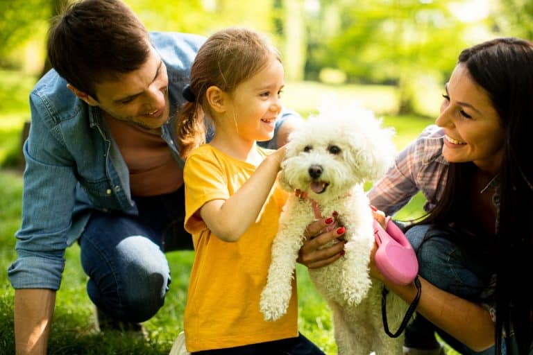 13 Compassionate Dog Breeds That Are Perfect for Families - iHeartDogs.com