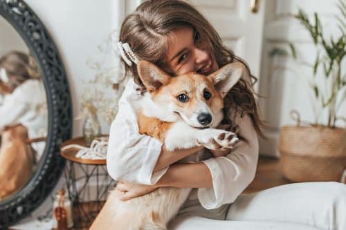 Top 13 Needy Dog Breeds You’ll Adore - iHeartDogs.com