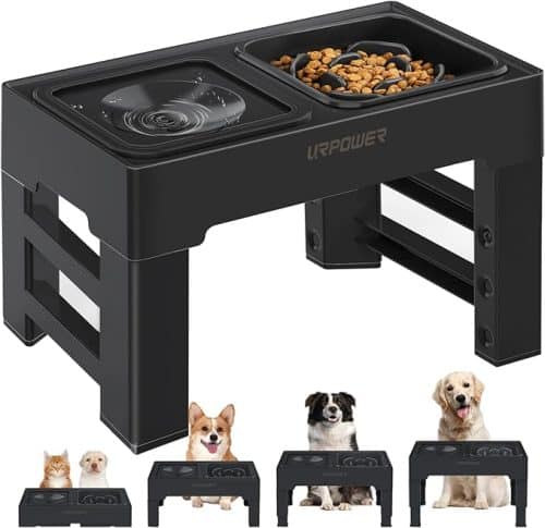 These 31 Early Amazon Pet Day Dog Deals Are Available Right NOW ...