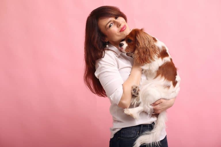 11 Most Loving Dog Breeds In The World - iHeartDogs.com