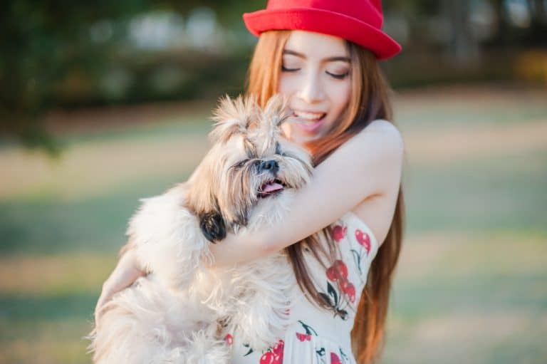 11 Most Loving Dog Breeds In The World - iHeartDogs.com