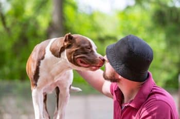 15 Wonderful Ways Dogs Say "I Love You" - iHeartDogs.com