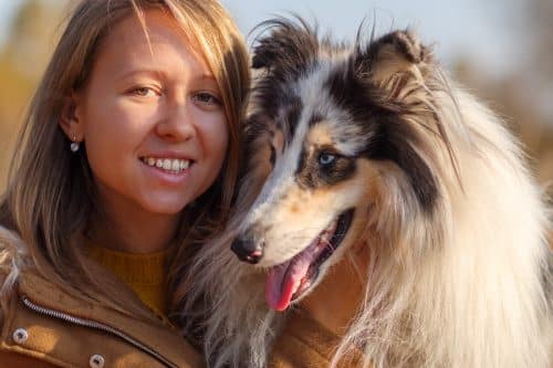 Top 13 Needy Dog Breeds You’ll Adore - iHeartDogs.com