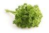 7 Common Kitchen Herbs That Support Dog Digestion - iHeartDogs.com