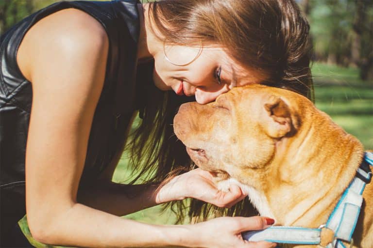 15 Fierce Canine Breeds That’ll Shock You With Devotion - We Love Dogs