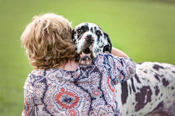 13 Best Dog Breeds For Emotional Support And Comfort - iHeartDogs.com