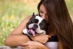 11 Cuddly Dog Breeds That Warm Hearts - iHeartDogs.com