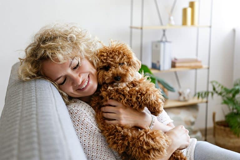 13 Compassionate Dog Breeds That Are Perfect for Families