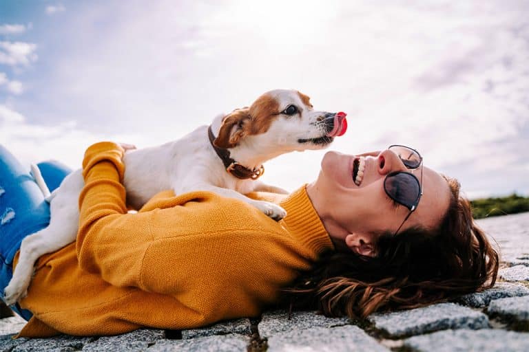 15 Dog Behaviors That Actually Show Affection - iHeartDogs.com