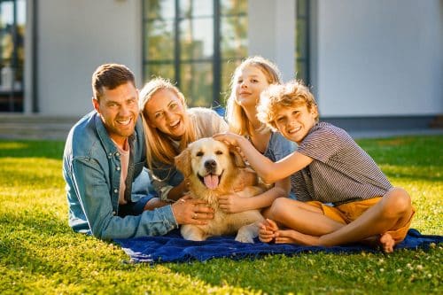 13 Compassionate Dog Breeds That Are Perfect for Families - iHeartDogs.com