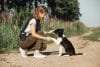 9 Watchful Dog Breeds That Are Good With Kids - iHeartDogs.com