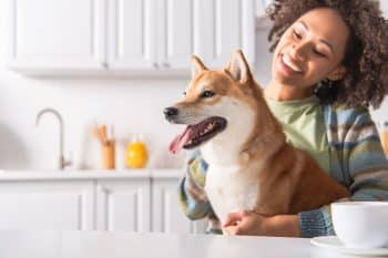 15 Facts About How Dogs Understand Time - iHeartDogs.com