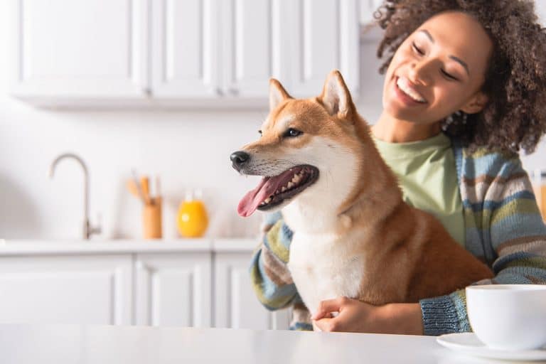 15 Facts About How Dogs Understand Time - iHeartDogs.com