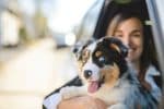 13 Compassionate Dog Breeds That Are Perfect for Families