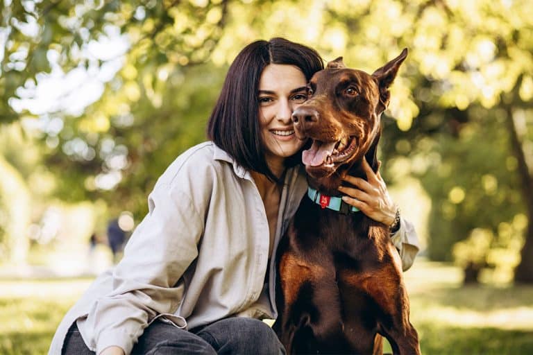 Top 13 Needy Dog Breeds You’ll Adore - iHeartDogs.com