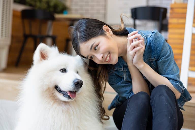15 Dog Breeds With Fluffy Ears You’ll Want to Touch - iHeartDogs.com