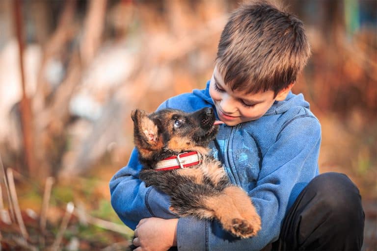 9 Watchful Dog Breeds That Are Good With Kids - iHeartDogs.com