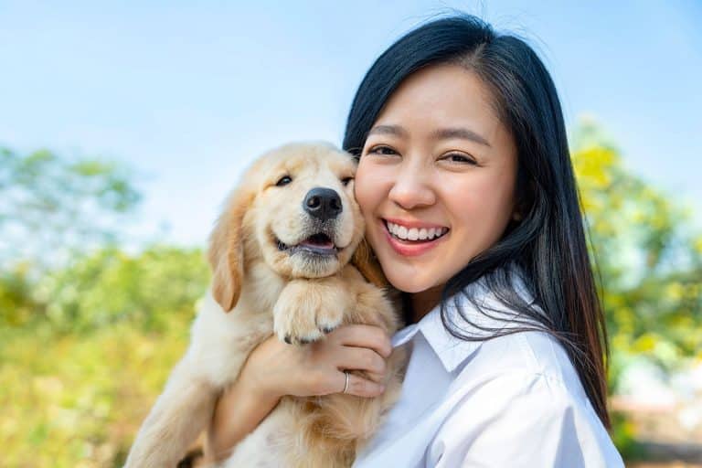 13 Ultimate Dog Breeds for New Pet Parents - iHeartDogs.com