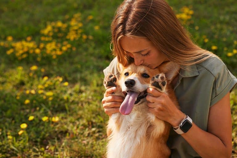 13 Best Dog Breeds For Emotional Support - iHeartDogs.com