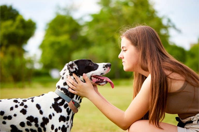 15 Dog Behaviors That Actually Show Affection - iHeartDogs.com