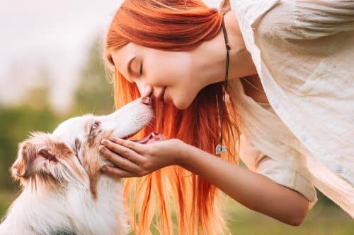 15 Dog Behaviors That Actually Show Affection - iHeartDogs.com
