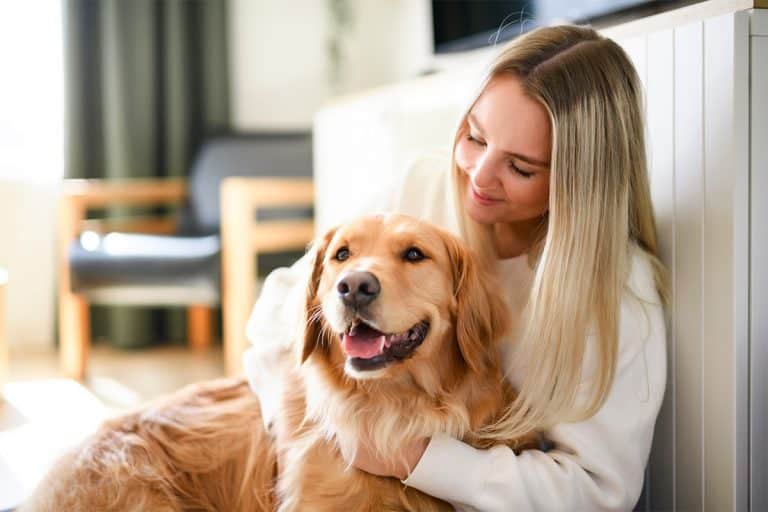 15 Sensitive Dog Breeds That Win All The Hearts - iHeartDogs.com