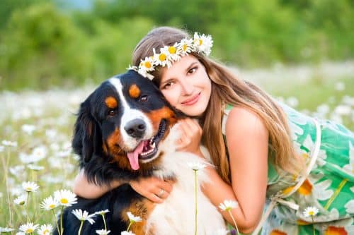 13 Compassionate Dog Breeds That Are Perfect for Families - iHeartDogs.com