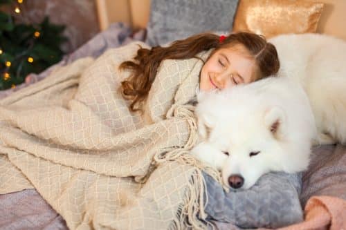13 Snuggly Dog Breeds That Love Falling Asleep On You - iHeartDogs.com