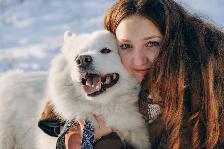 13 Dog Breeds That Are All Sugar And Snuggles - iHeartDogs.com