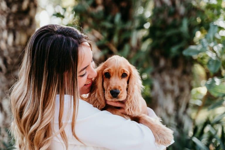 15 Loving Dog Breeds That Are All Heart - iHeartDogs.com