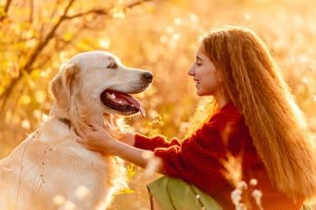 13 Compassionate Dog Breeds That Are Perfect for Families - iHeartDogs.com