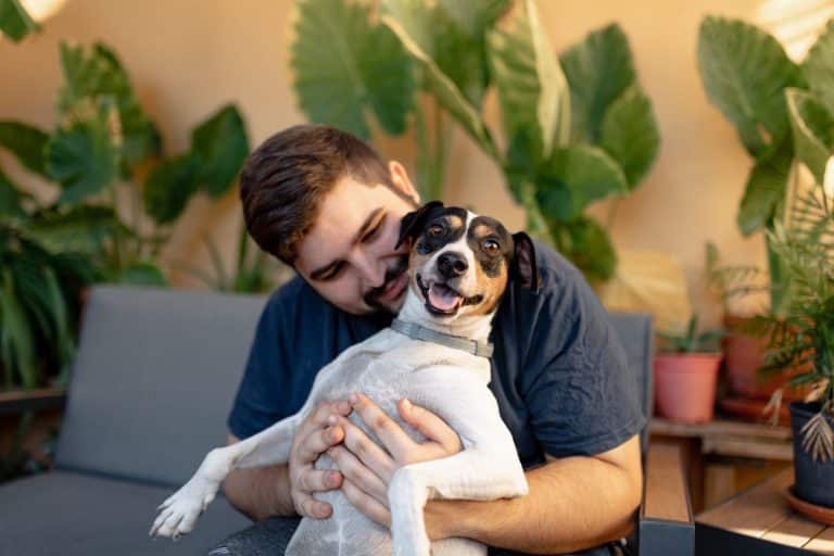 11 Best Balms for Itchy Dogs That Soothe Dry Skin and Irritation ...