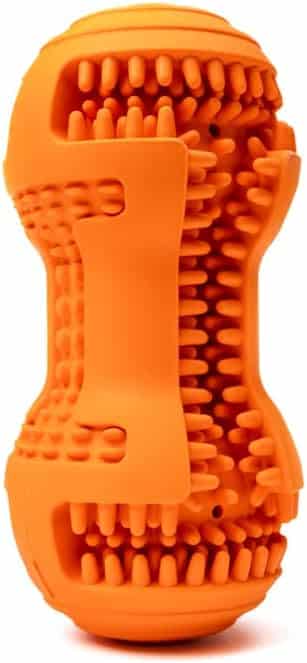 10 Best Dental Dog Toys - iHeartDogs.com