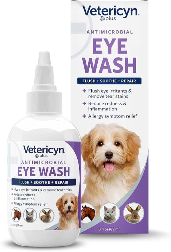 6 Best Eye Washes for Dogs - iHeartDogs.com