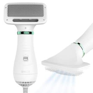 8 Best Dog Dryers for Home Grooming - iHeartDogs.com