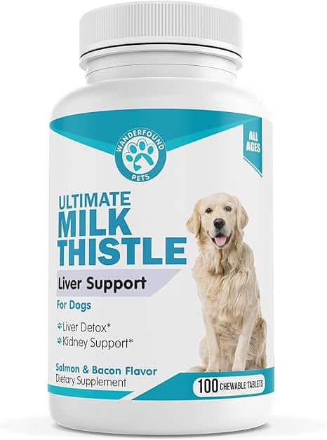 8 Best Liver Supplements for Dogs - iHeartDogs.com