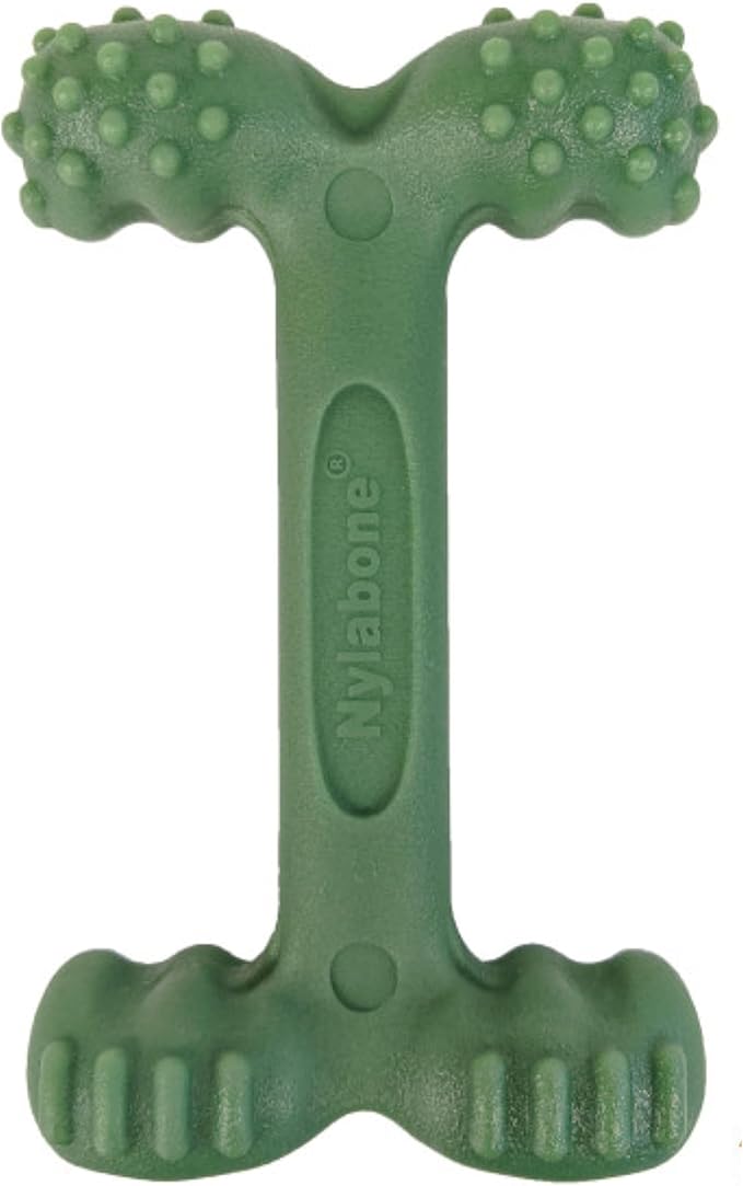 10 Best Dental Dog Toys - iHeartDogs.com