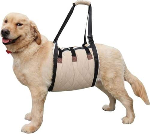 7 Best Dog Lift Harnesses - iHeartDogs.com