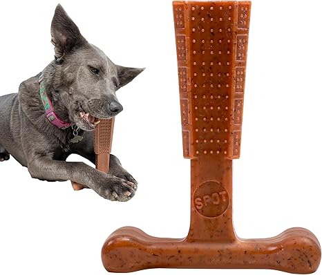 10 Best Dental Dog Toys - iHeartDogs.com