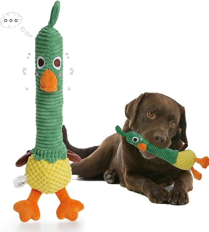 11 Best Durable Dog Toys with Squeakers - iHeartDogs.com
