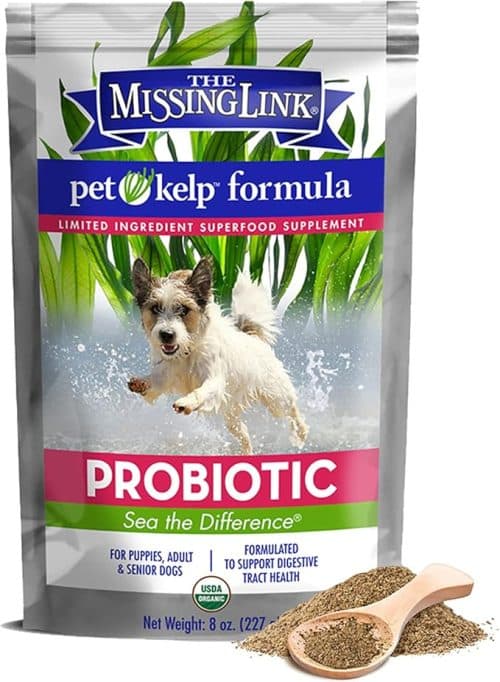 6 Best Kelp & Seaweed Supplements for Dogs - iHeartDogs.com