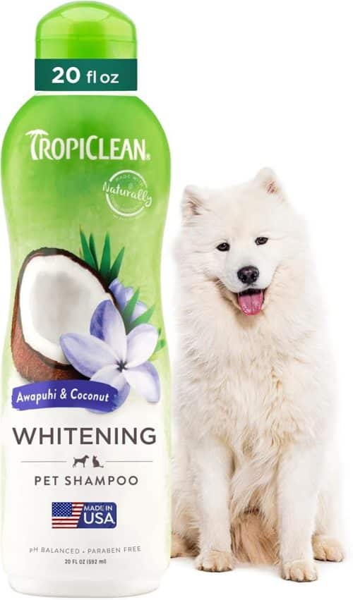 7 Best Whitening Shampoos for White Dogs - iHeartDogs.com
