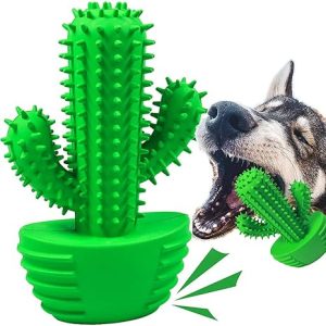 10 Best Dental Dog Toys - iHeartDogs.com