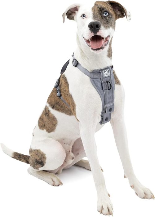 The 6 Best Dog Harnesses - iHeartDogs.com