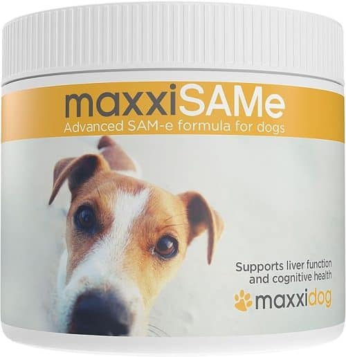 8 Best Liver Supplements for Dogs - iHeartDogs.com