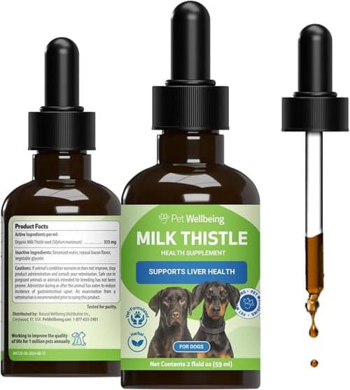 8 Best Milk Thistle Supplements for Dogs - iHeartDogs.com