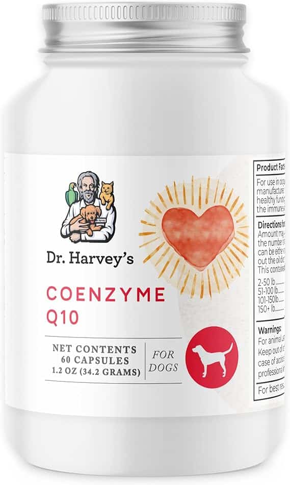 7 Best CoQ10 Supplements for Dogs - iHeartDogs.com