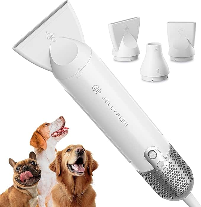 8 Best Dog Dryers for Home Grooming - iHeartDogs.com